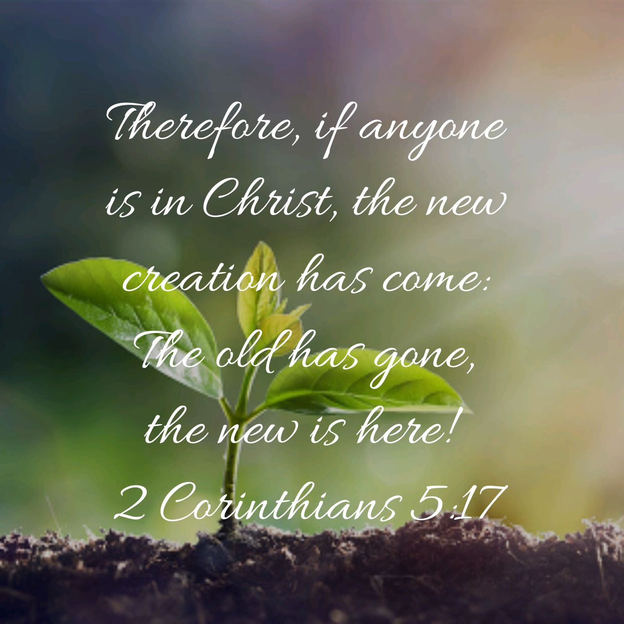 Sermon Notes: New Attitude in Christ – Almond Branch Church Blog Site