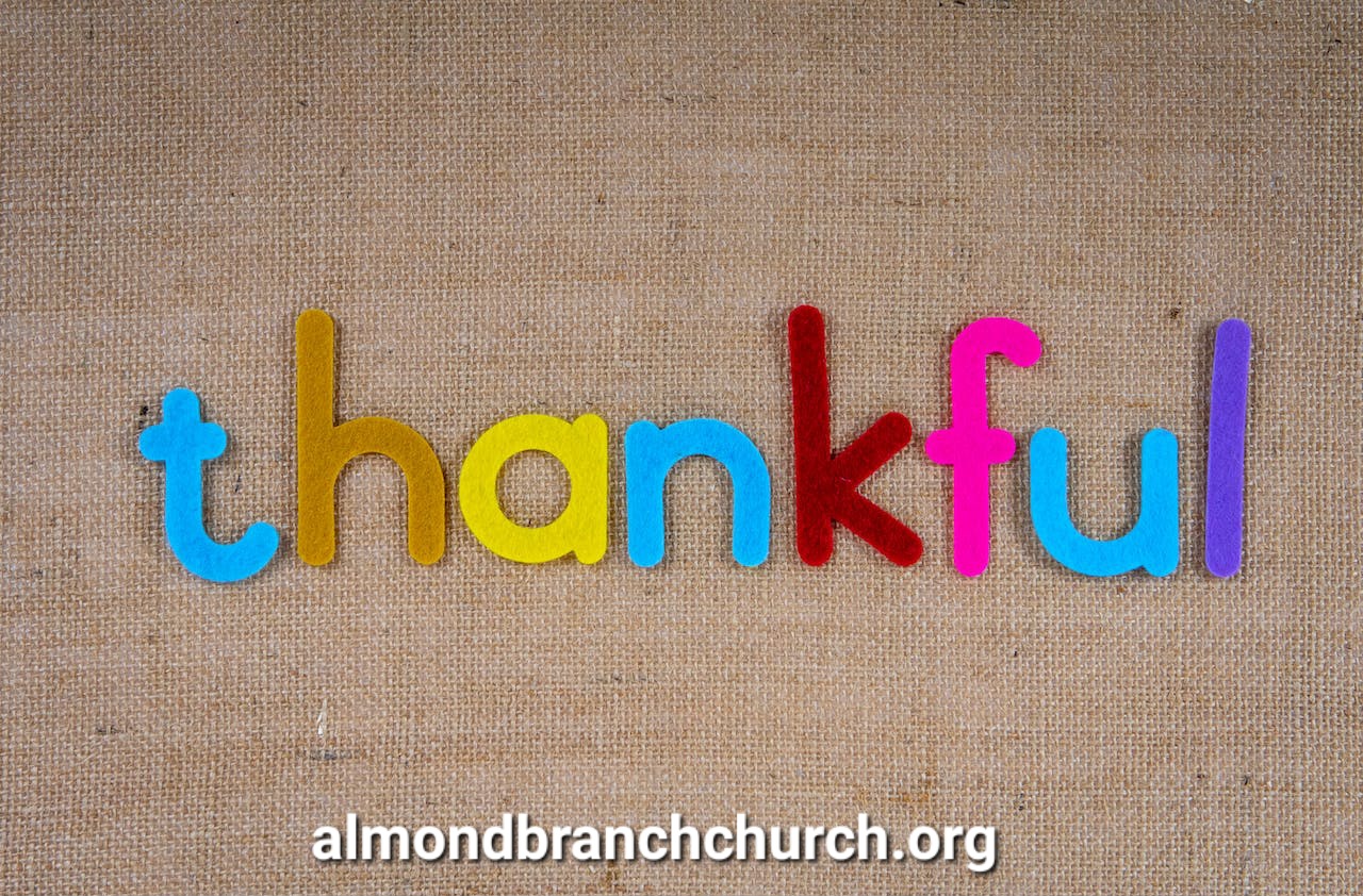 Sermon Notes: Embracing Thankfulness – Almond Branch Church Blog Site